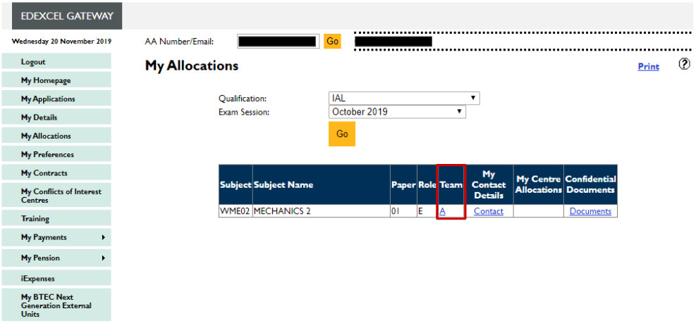 View my team details