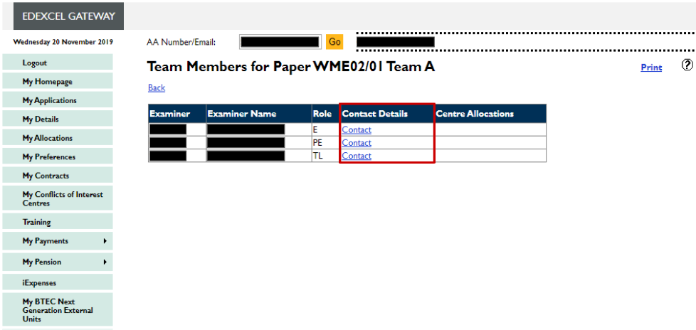 View my team details